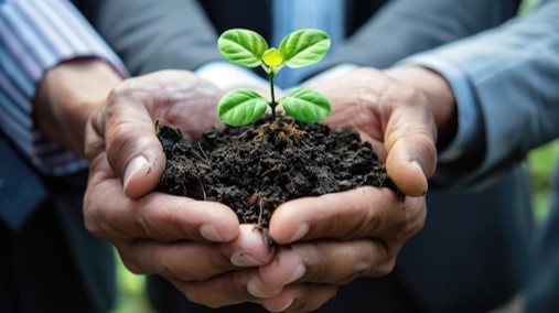 Certified Sustainability Practitioner | My iACN